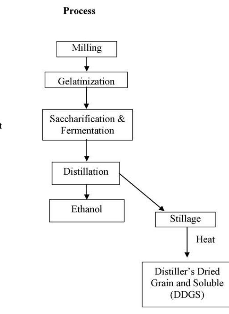 Flow chart of ethanol production from cereal grains.