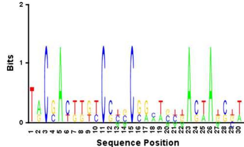 Promoters logo sequence of the string aeo00115 with more