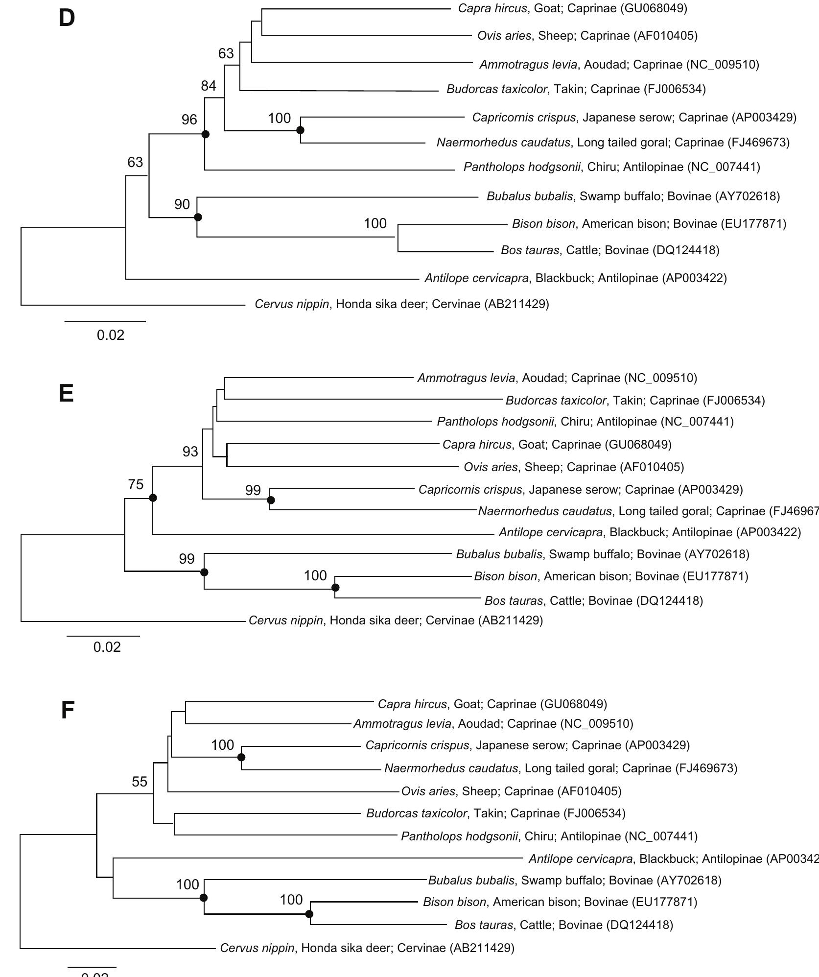 Neighbor-joining dendrograms showing the phylogenetic