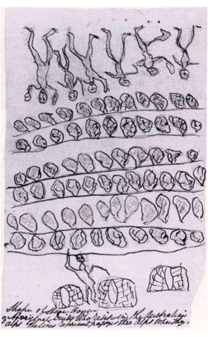 Plate 8 sketch of stone houses from william thomas, art and