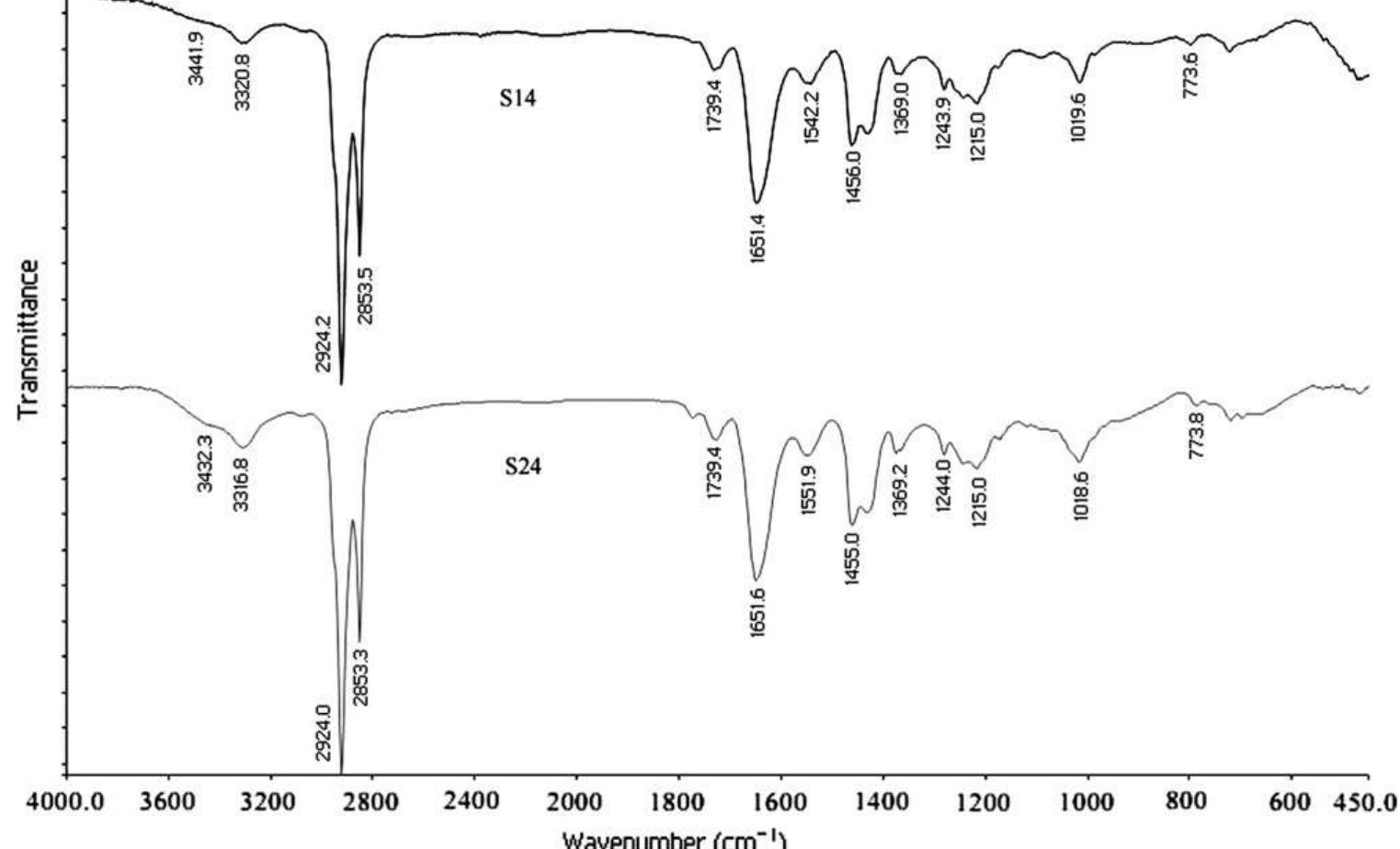 Ftir spectra of set 1 (sample s14) and set 2 (sample 24)