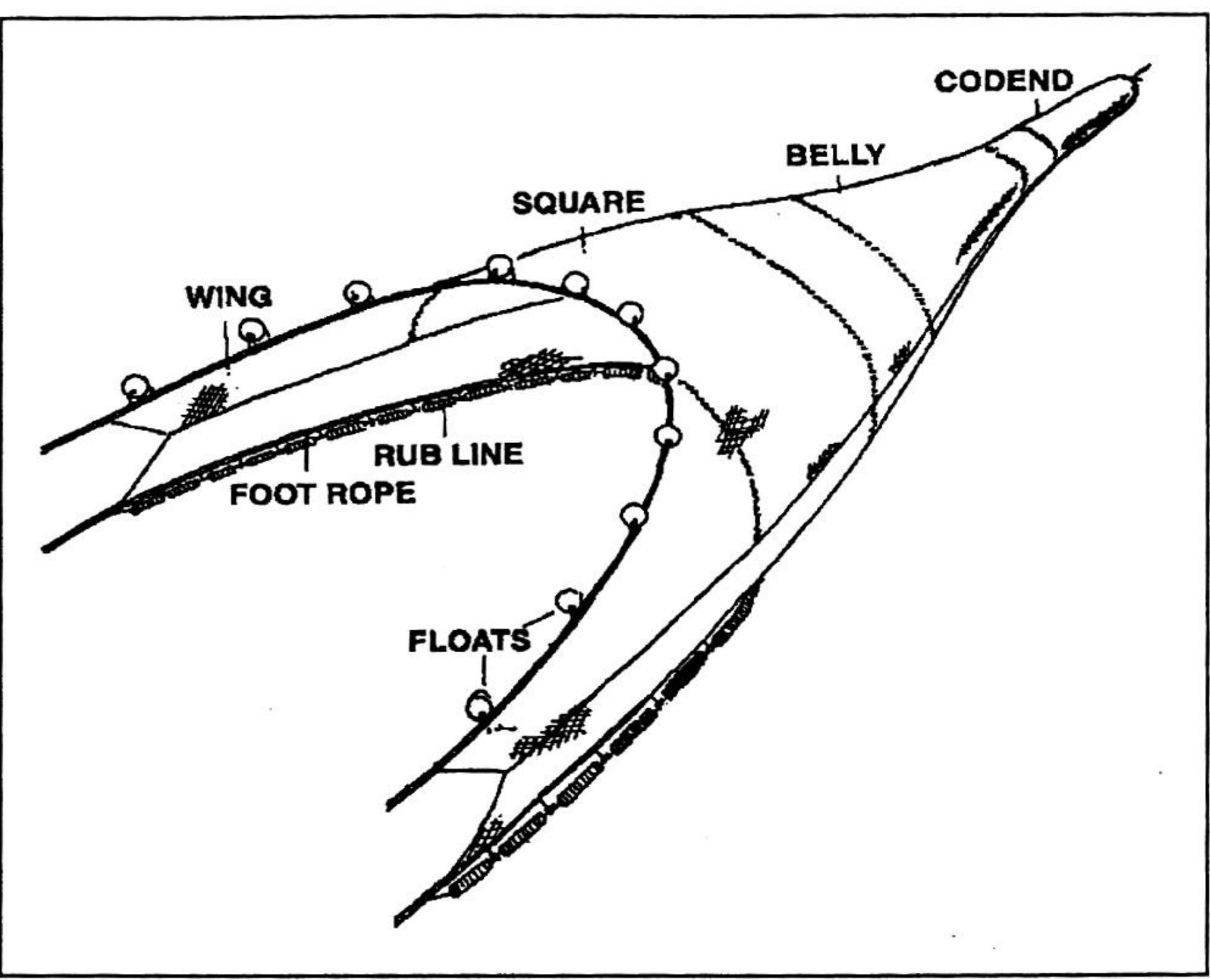 39 pictorial view of a two-seam demersal trawl 2.6 design