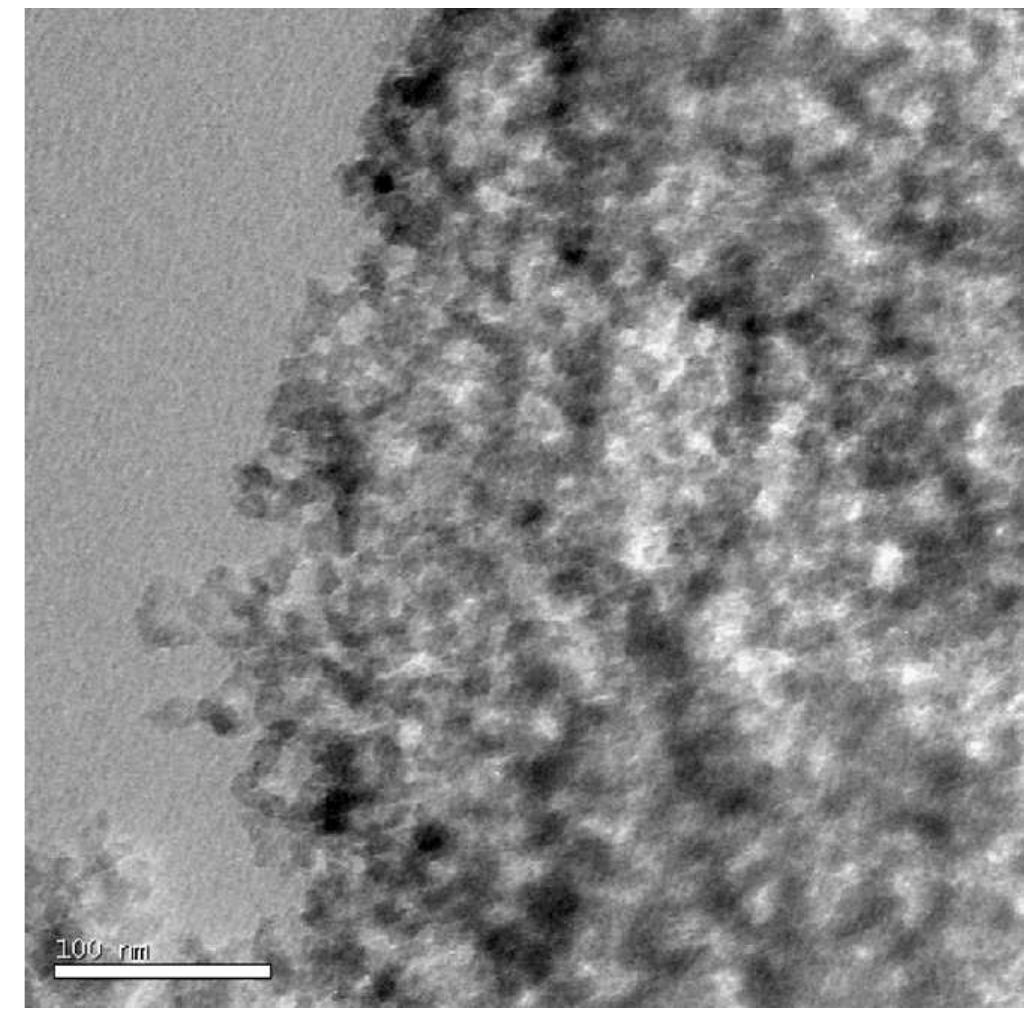 Tem micrographs for the mixed catalyst system.