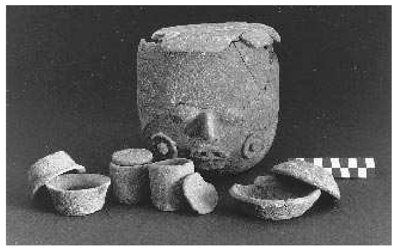 Photograph of a face cache and varieties of finger caches