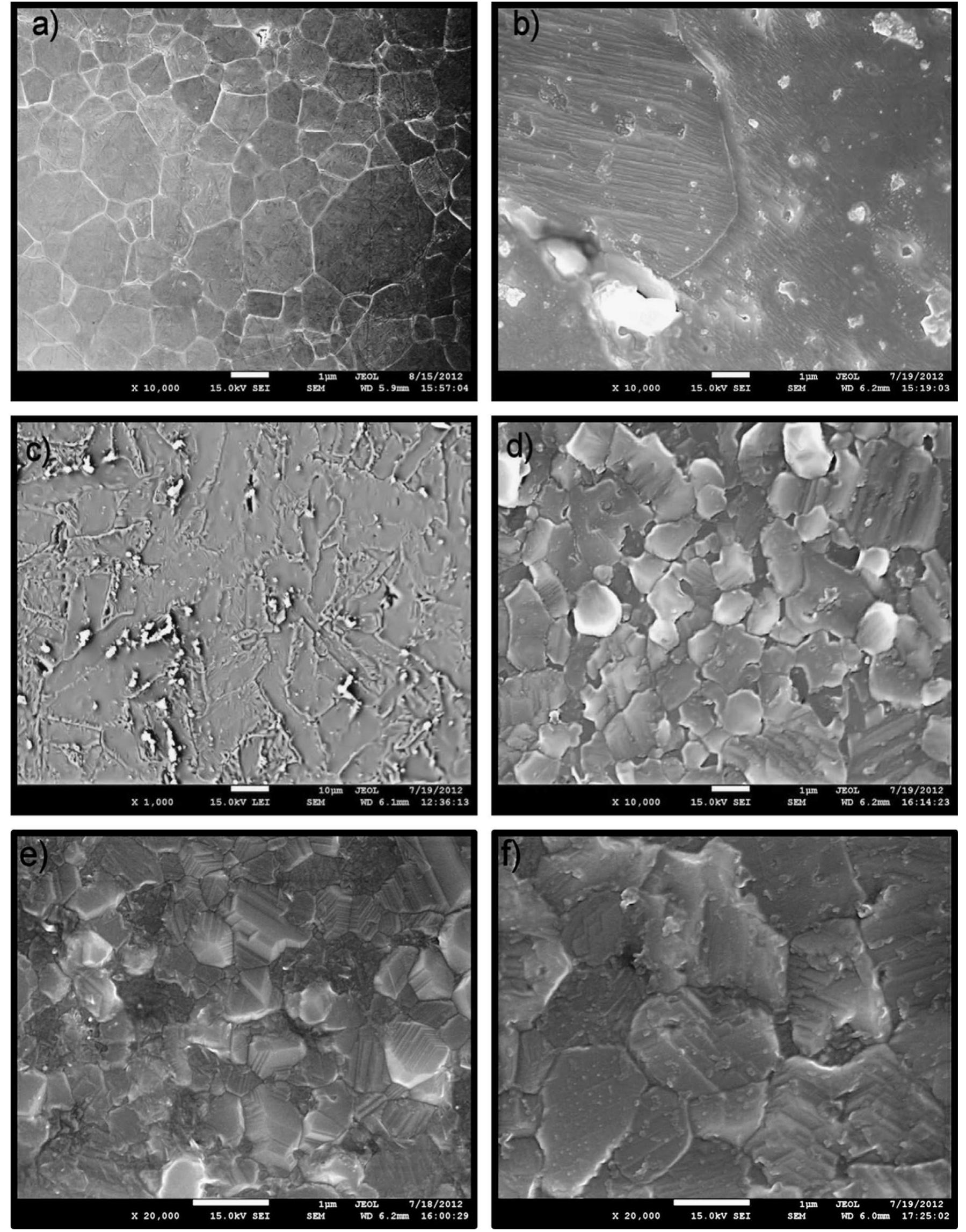 Microstructure of the monolithic al,03 reference and of