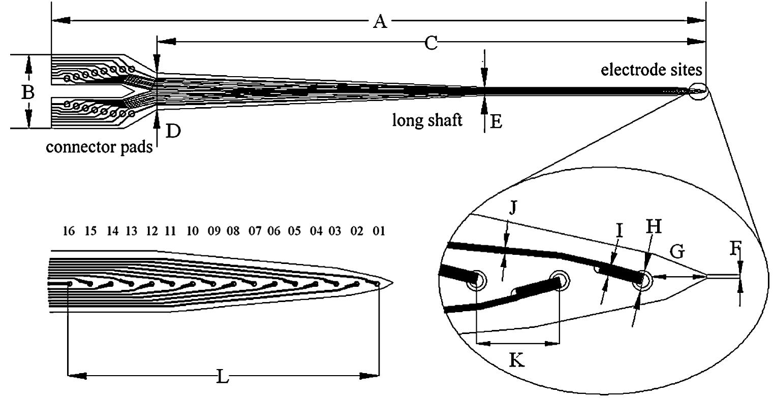 Schematic view of the nctu probe depicted in an autocad