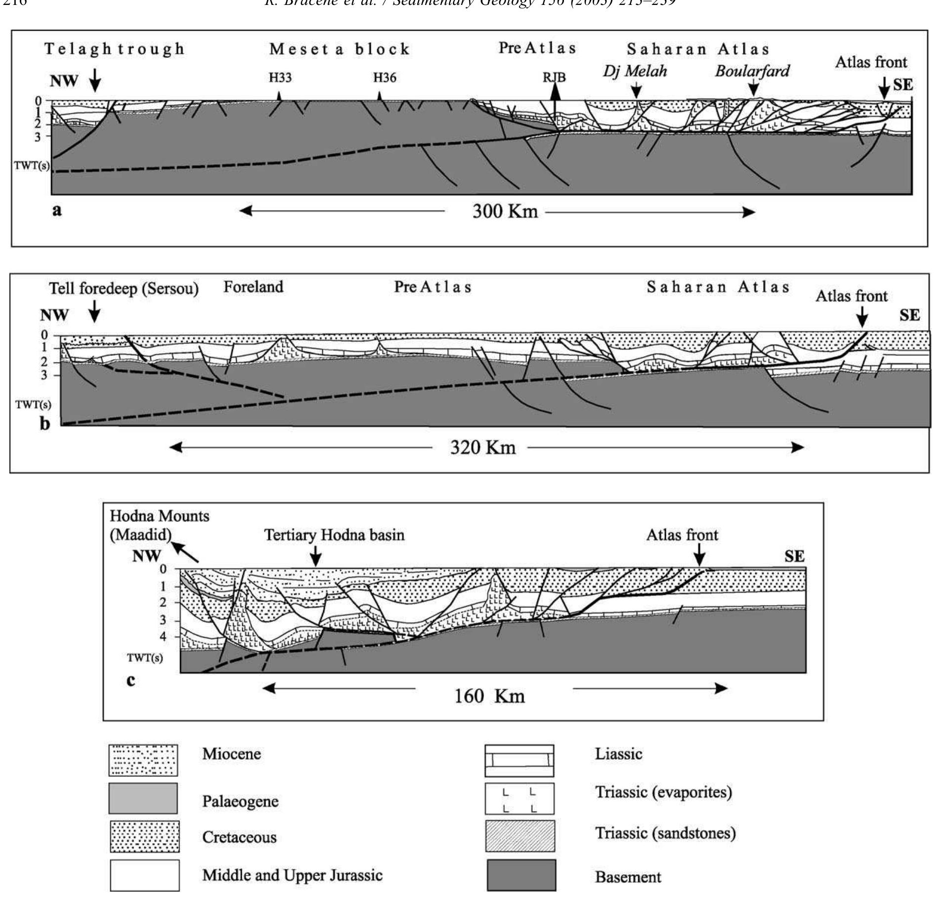 Seismic cross-section (twt second) through the studied areas