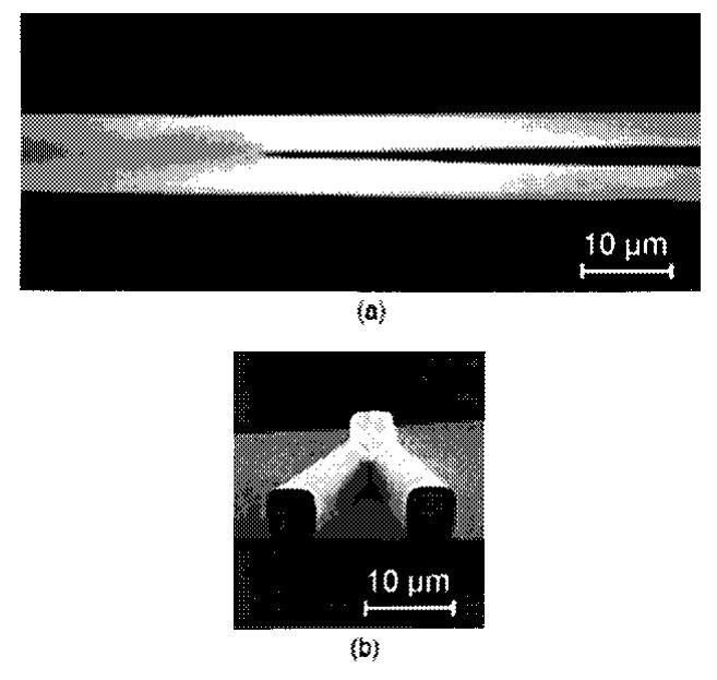 (a) top view and (b) cross-sectional view of single-mode 1 x