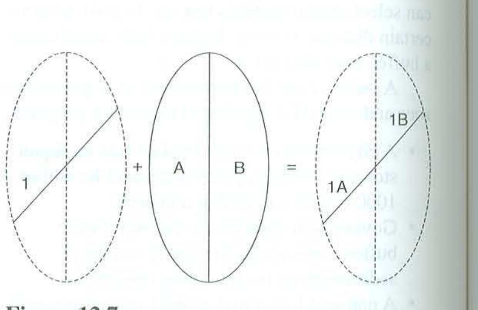 Point In Polygon Overlay The Input Is A Point Layer The 0941