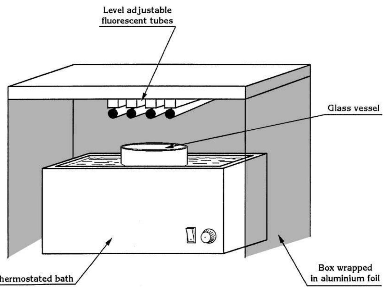 Schematic representation of the batch photoreactor used for