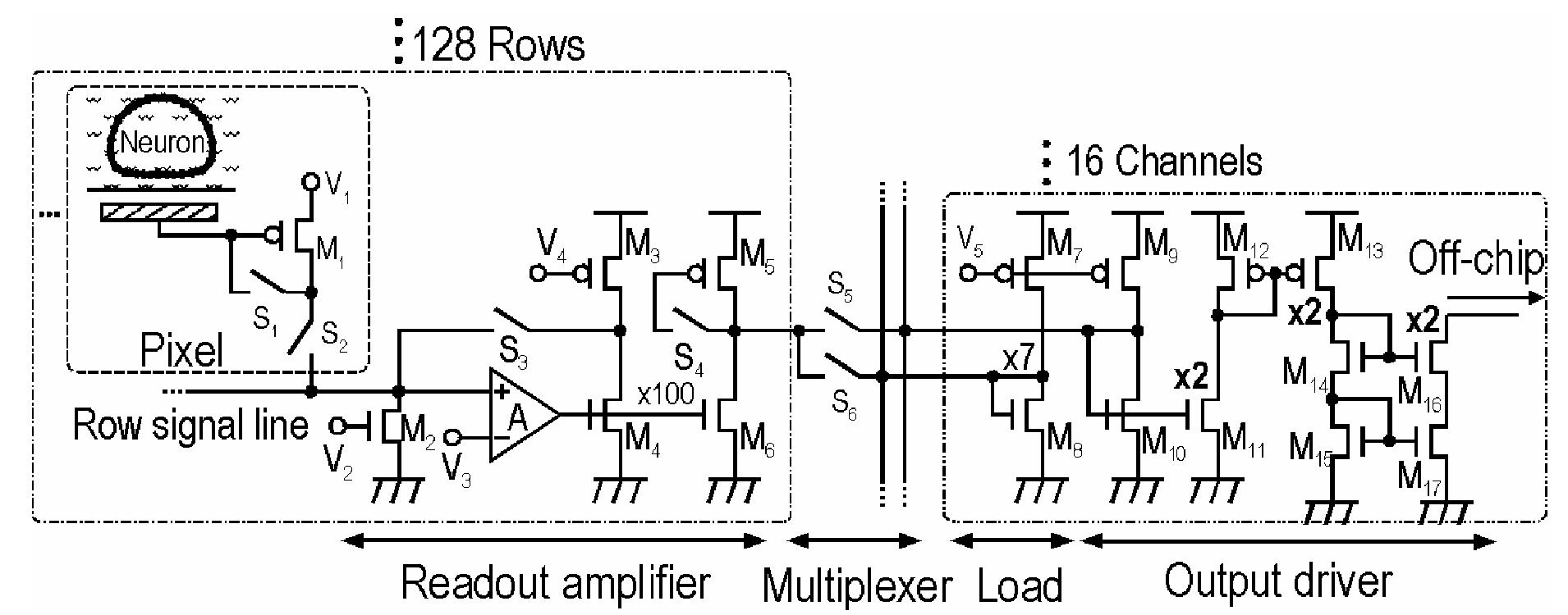 Simplified circuit schematic representing the full signal