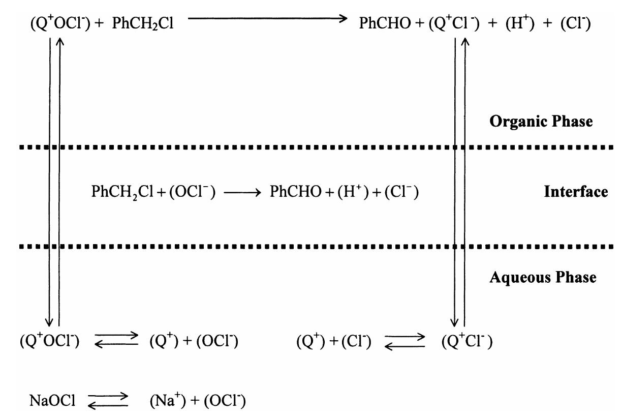 Diagram of the single-step ptc mechanism of the synthesis of