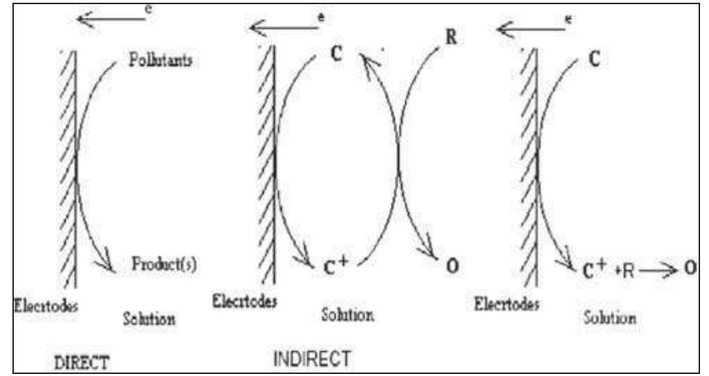 Schematic representation of direct and indirect