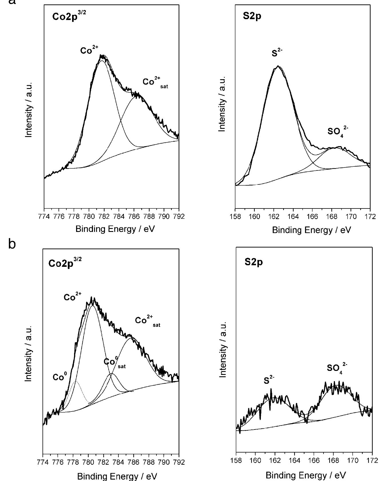 Xps spectra of co2p and s2p performed on glassy carbon