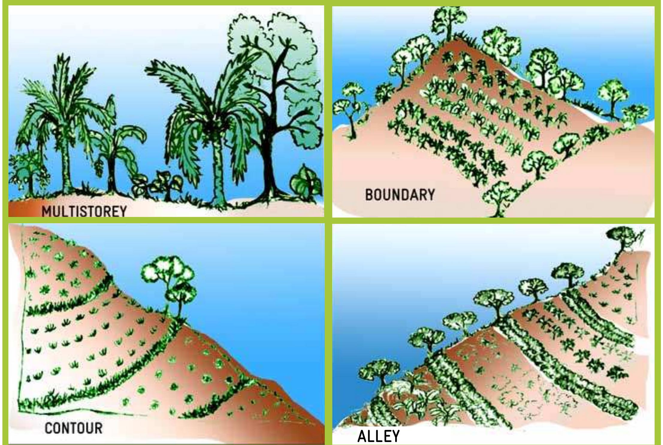 (PDF) Upland Agriculture in the Philippines Potential and Challenges