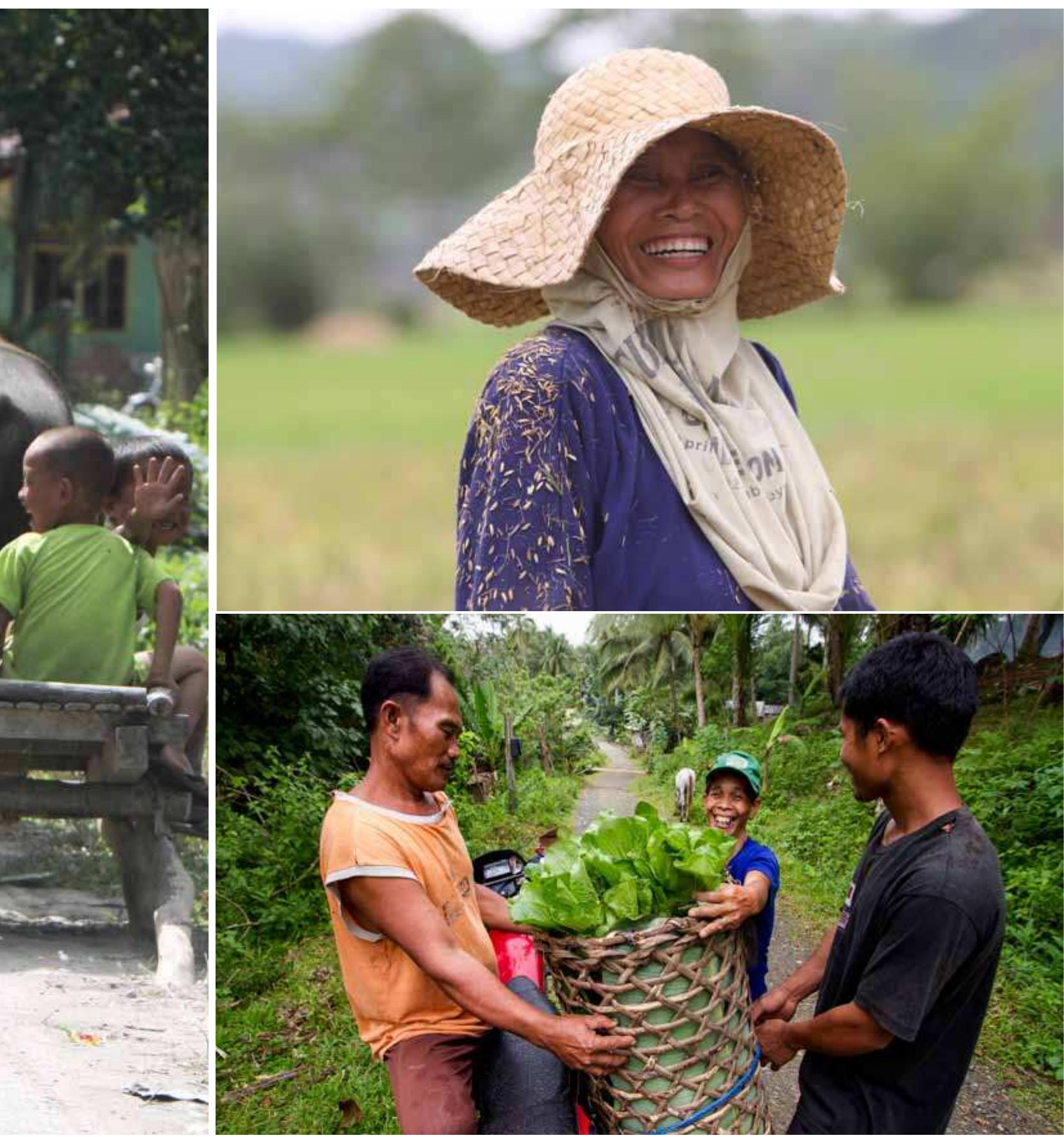 Figure 40 - Upland Agriculture in the Philippines Potential