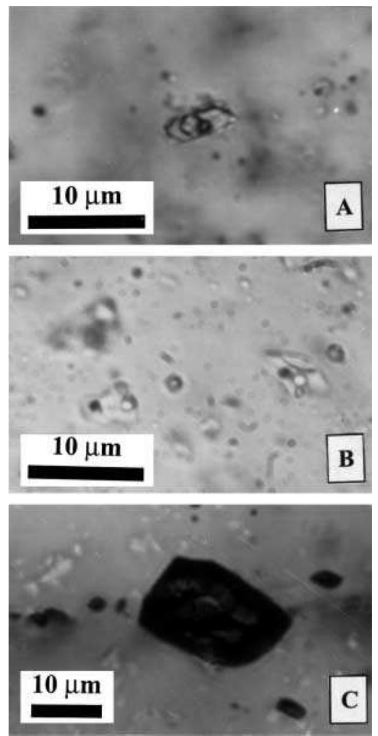 Photomicrographs of fluid inclusion types. a polyphase e2