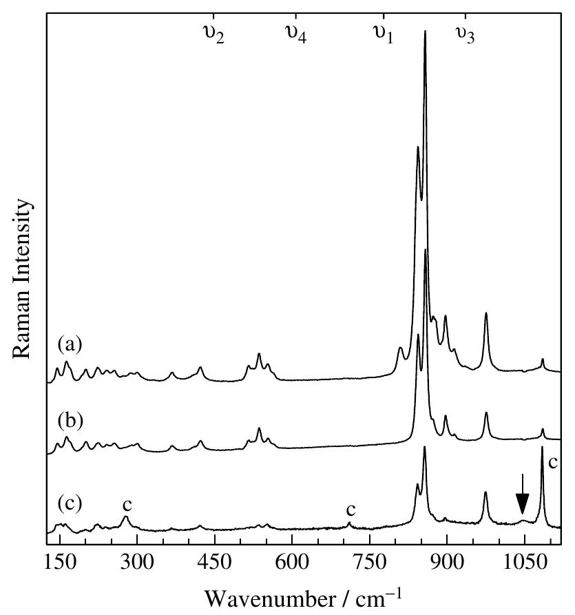 Raman spectra of the different cos samples studied in this
