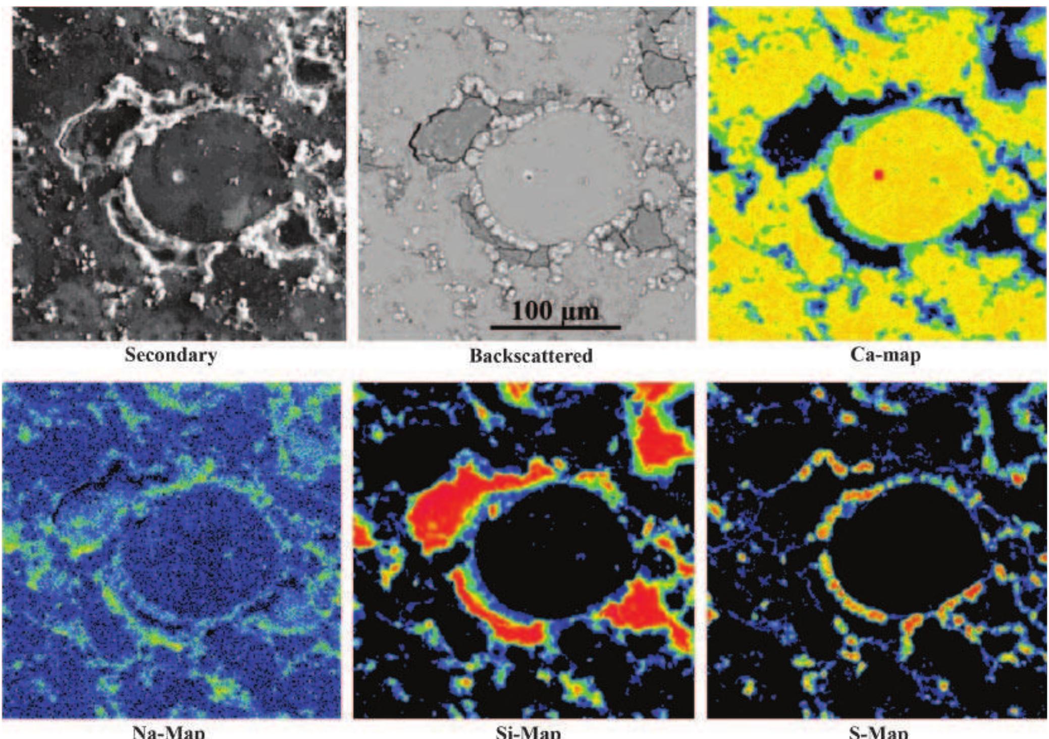 Scanning electron microscopy micrographs and elemental maps Scanning electron microscopy micrographs and elemental maps