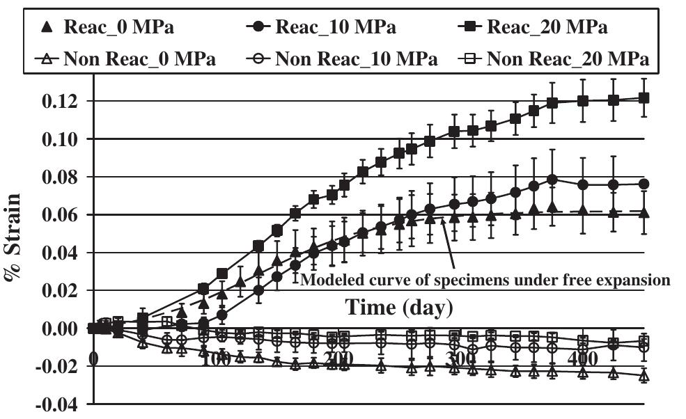 Measured radial strains of the reactive and reference