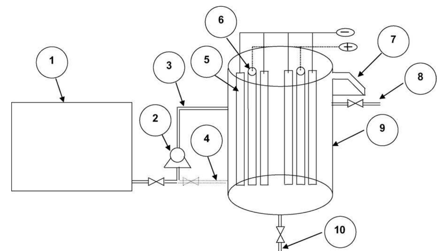 Schematic diagram of electrolytic reactor. (1) feed tank;