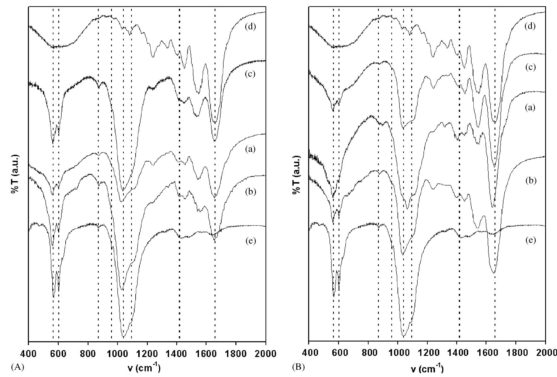 Ftir spectra. (a) spectra of cell pellets of cultures