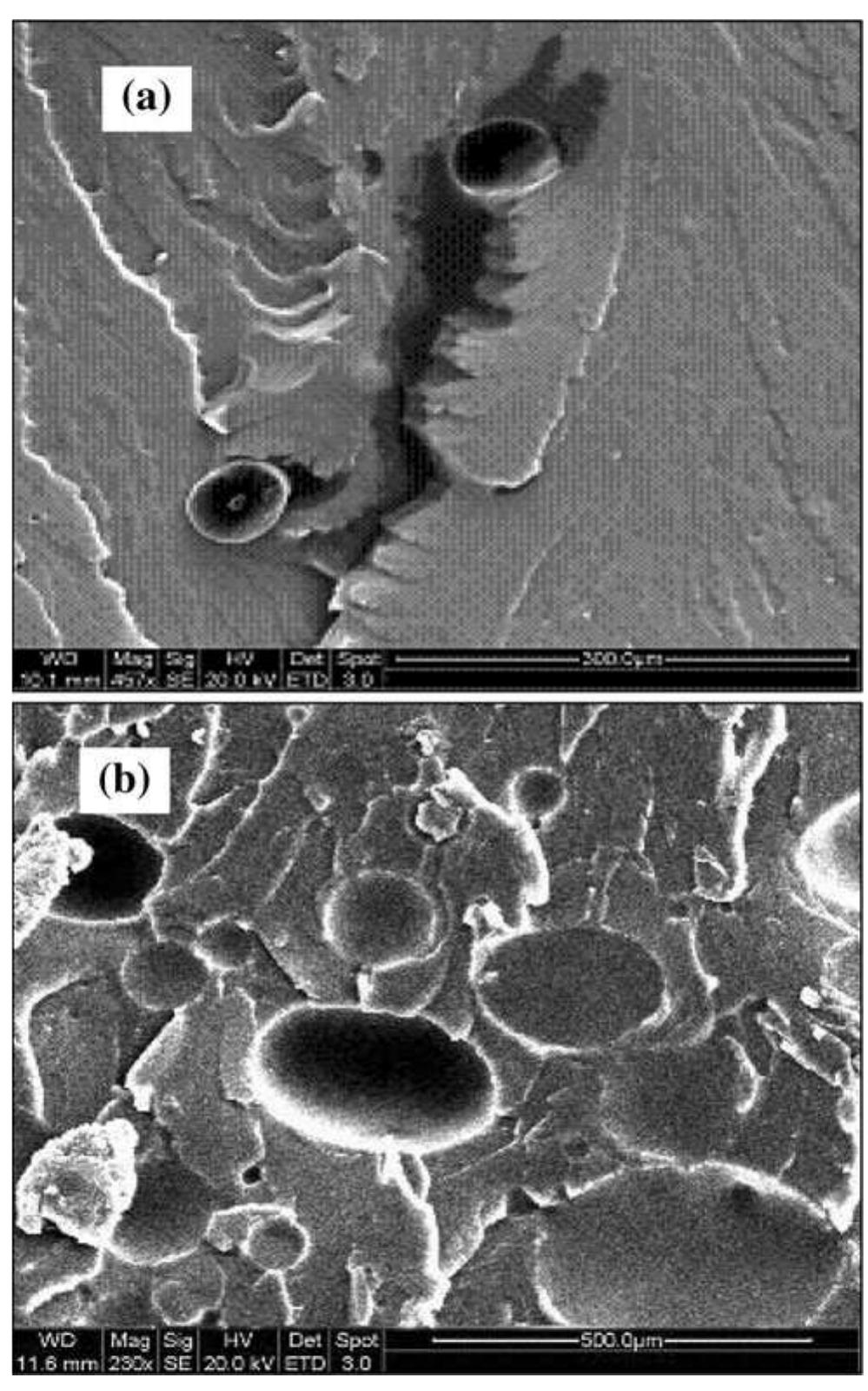 Sem micrographs of blend sample: (a) sample ecf 513; (b)