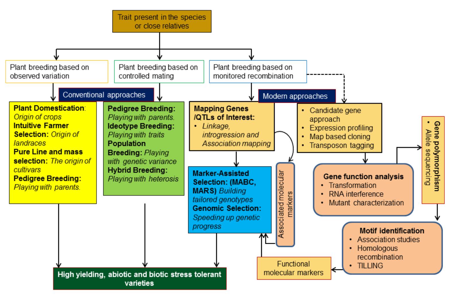 Overview of the traditional and modern approaches in plant