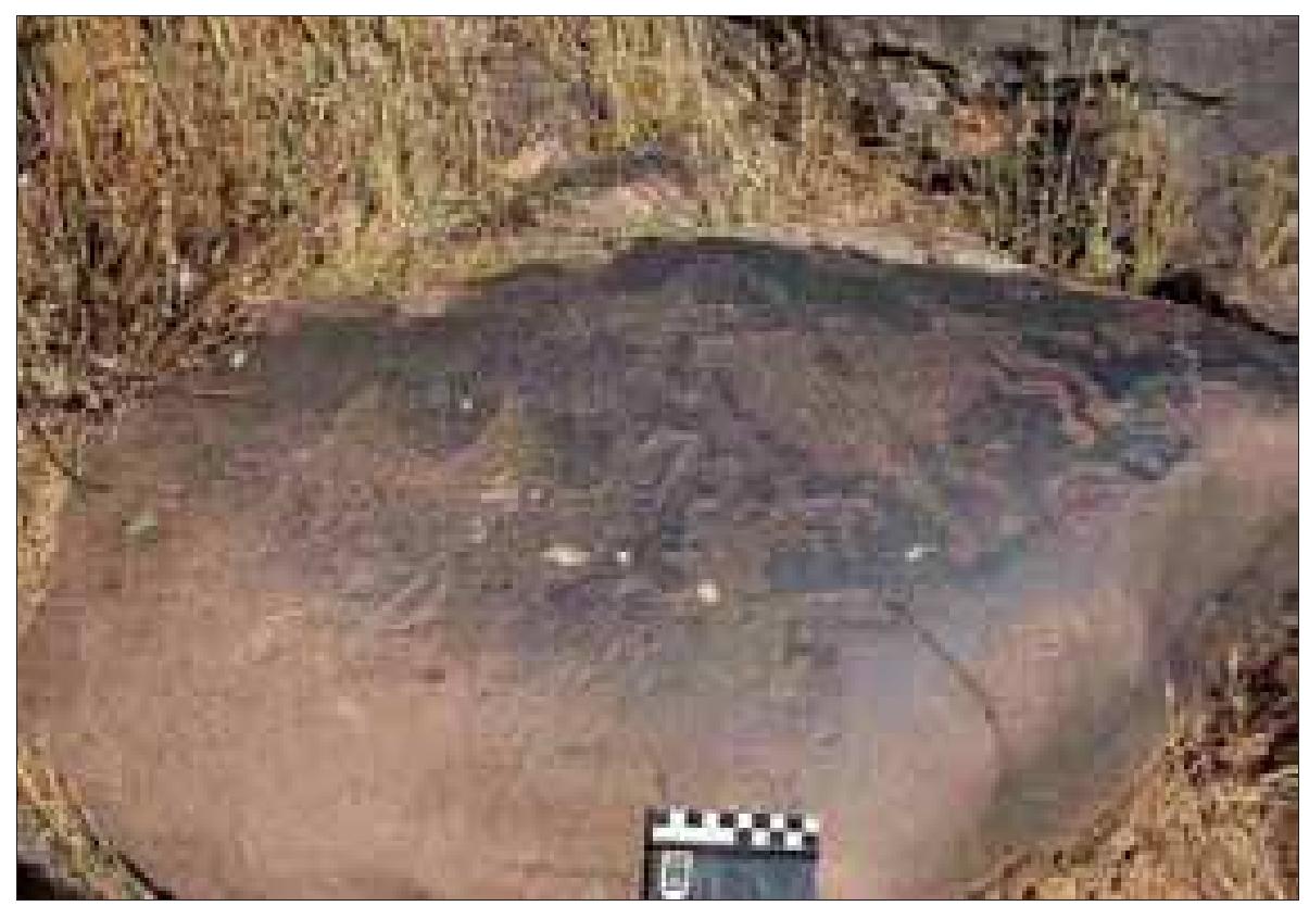 Rock art incisions from koybagar, in the karatau mountains.