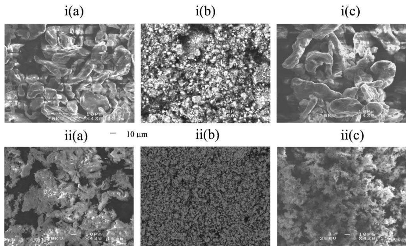 Scanning electron microscope images, i) before hydrogen