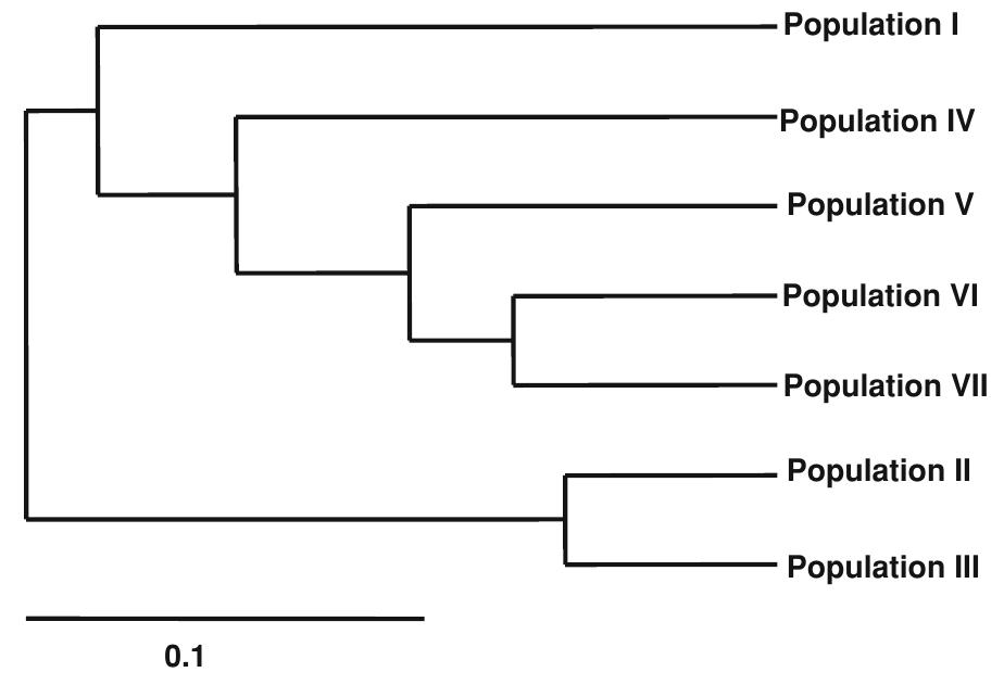 Dendrogram showing genetic divergence and affinity among