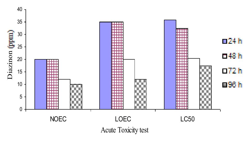 Acute toxicity testing statistical endpoints of zebra fish