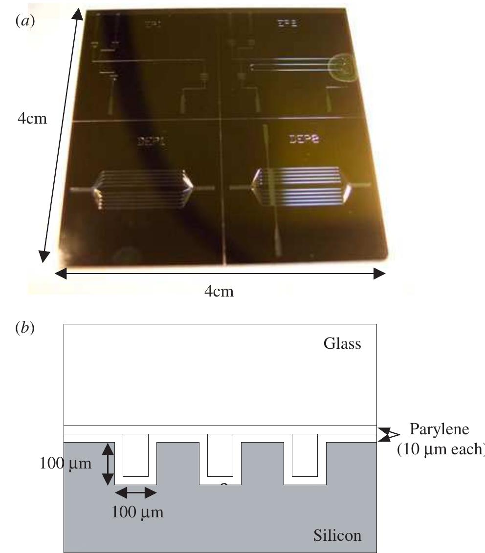 The bonding of a structured wafer (a) a bird view, (b) a