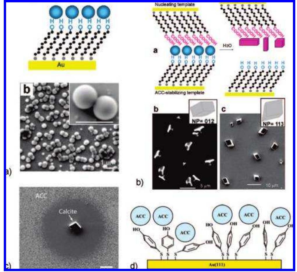 Examples of the dissolution—recrystallization pathway for