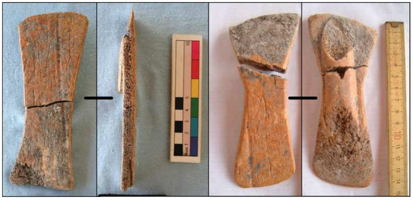 Farium pica shell, and an assortment of ob- ects for