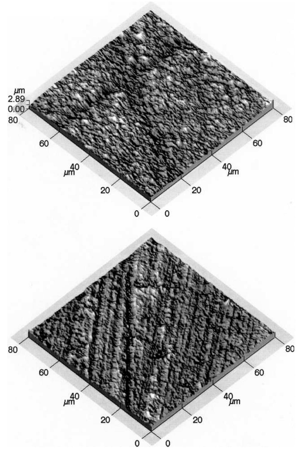 Atomic force microscope (afm) micrographs showing the