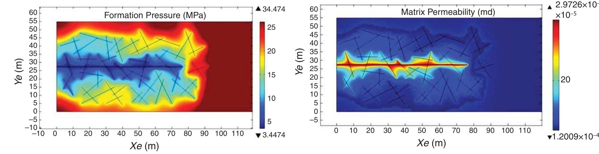 —pressure and matrix apparent permeability distribution