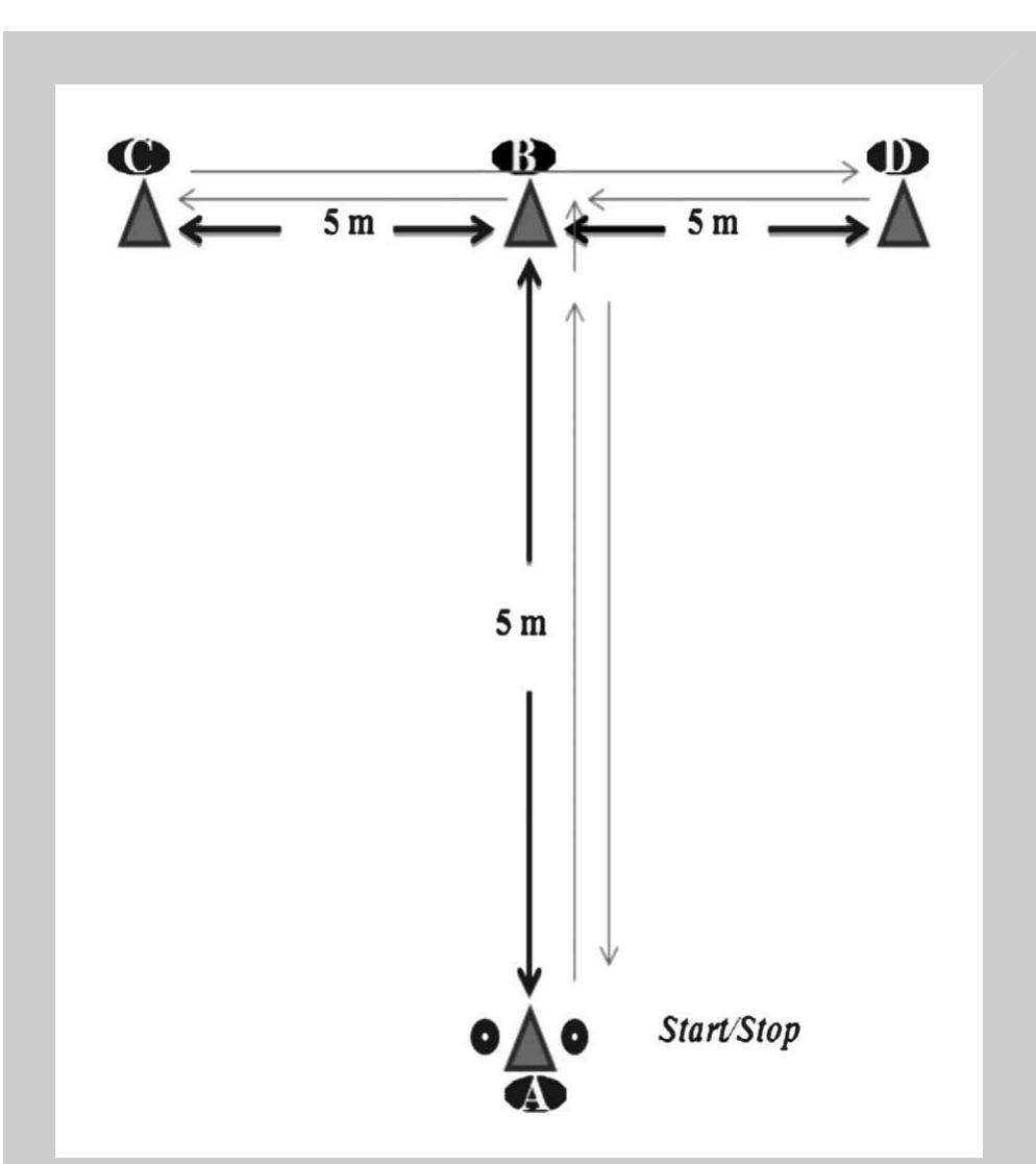 Schematic representation of the change of direction speed