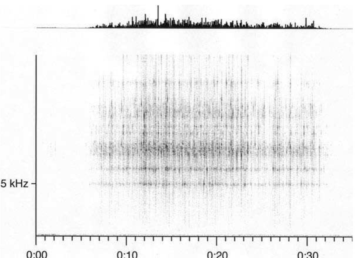 Sonogram showing the sound frequencies produced by shaking