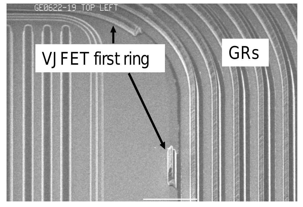; scanning electron microscopy image of a guard ring edge