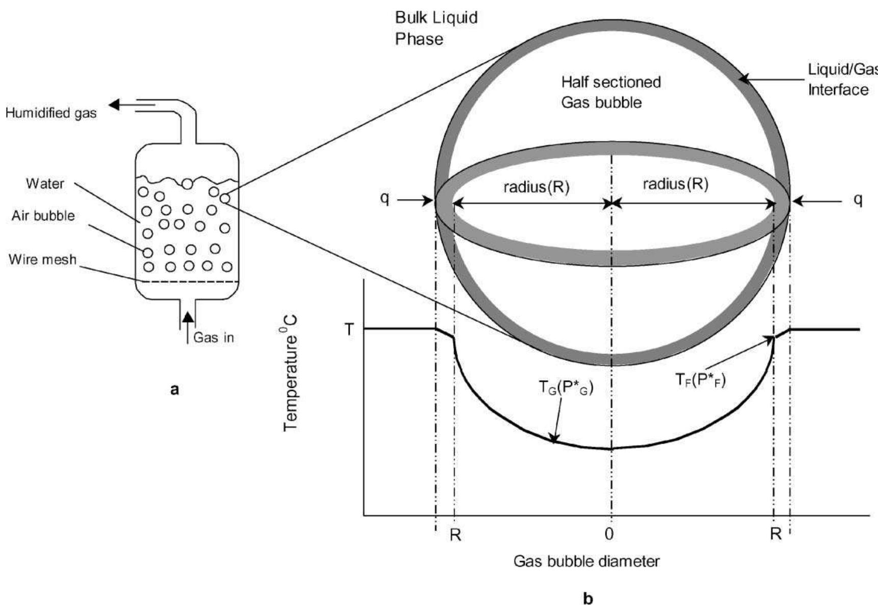 Depicts heat and mass transfer (a) vaporization into bubbles