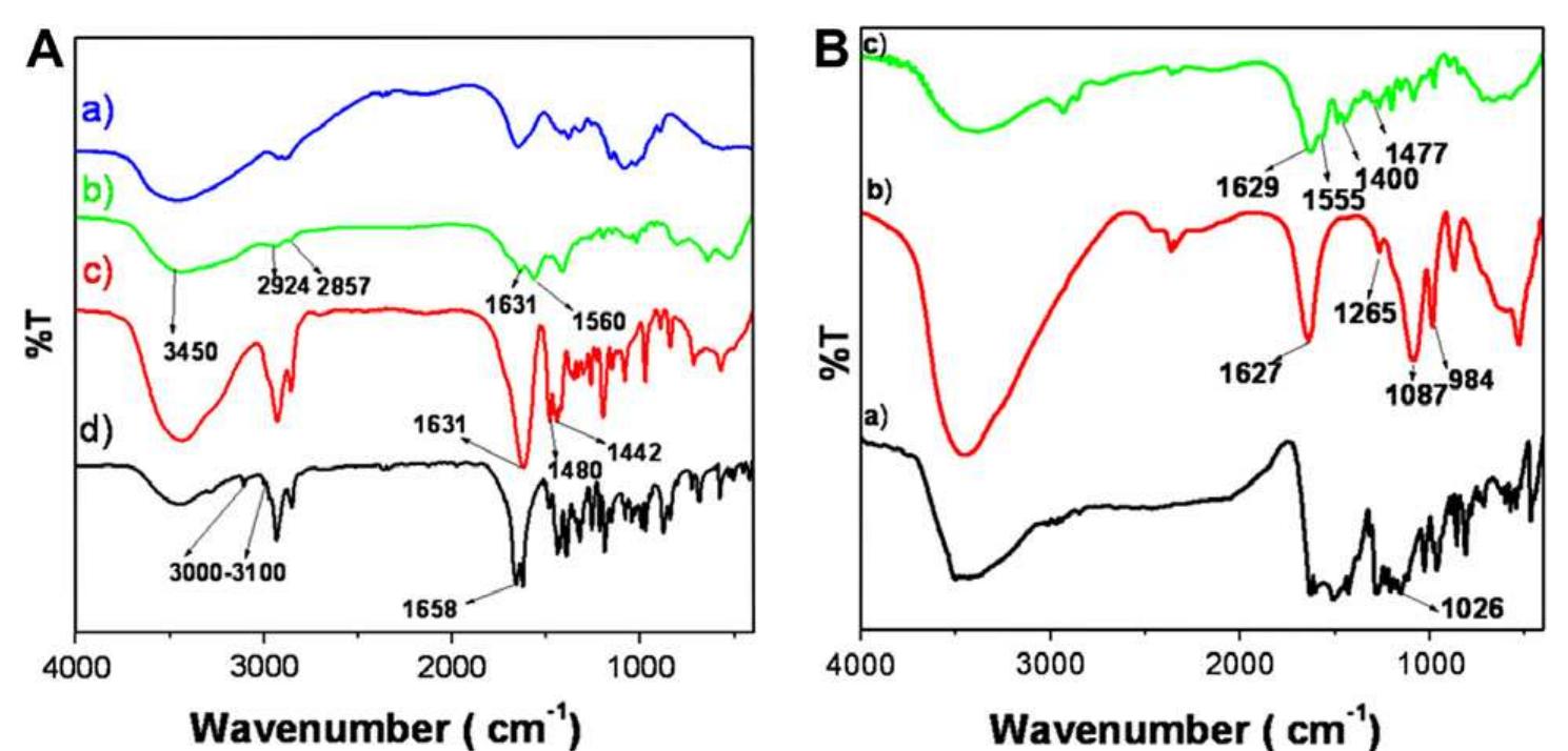 (a) ftir spectrum of (a) chitosan (b) chitosan-g-pnvcl (c)