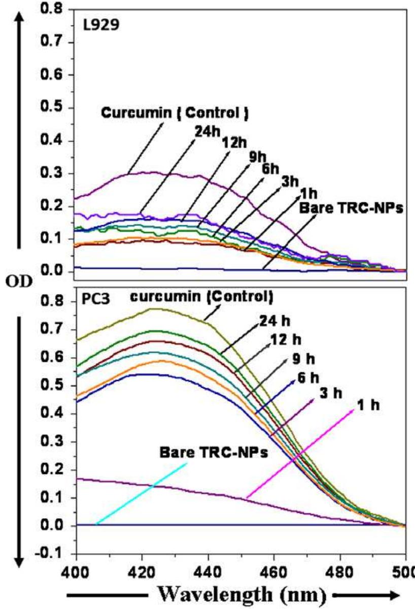 Absorption spectra of methanol lysates of l929 and pc3 cells