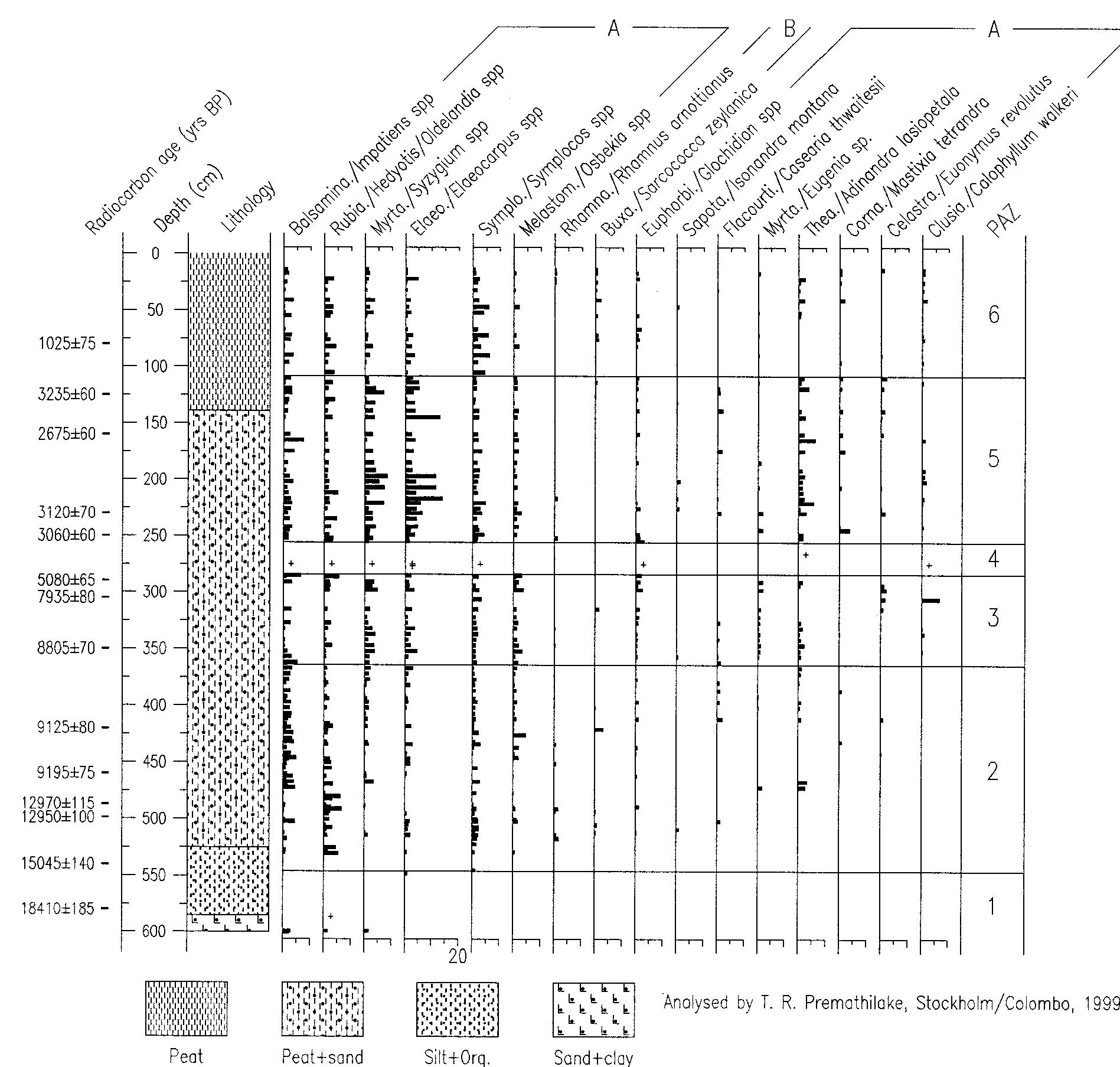 Pollen diagram from the late quaternary sedimentary sequence