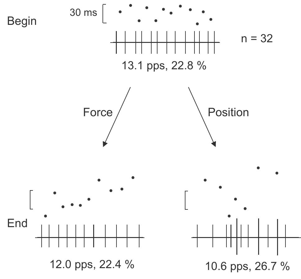 Schematic diagrams of motor unit activity at the beginning