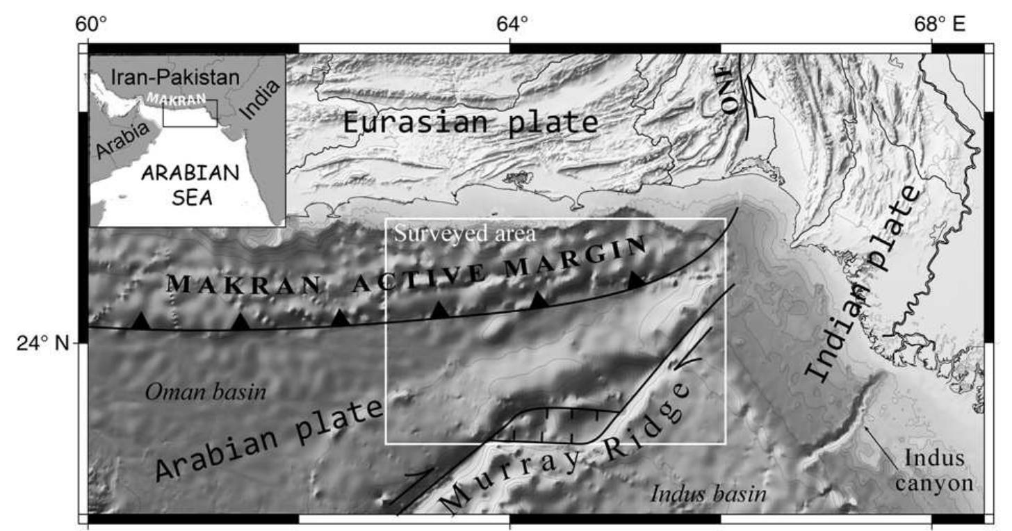 Regional geological sketch map of the makran convergent
