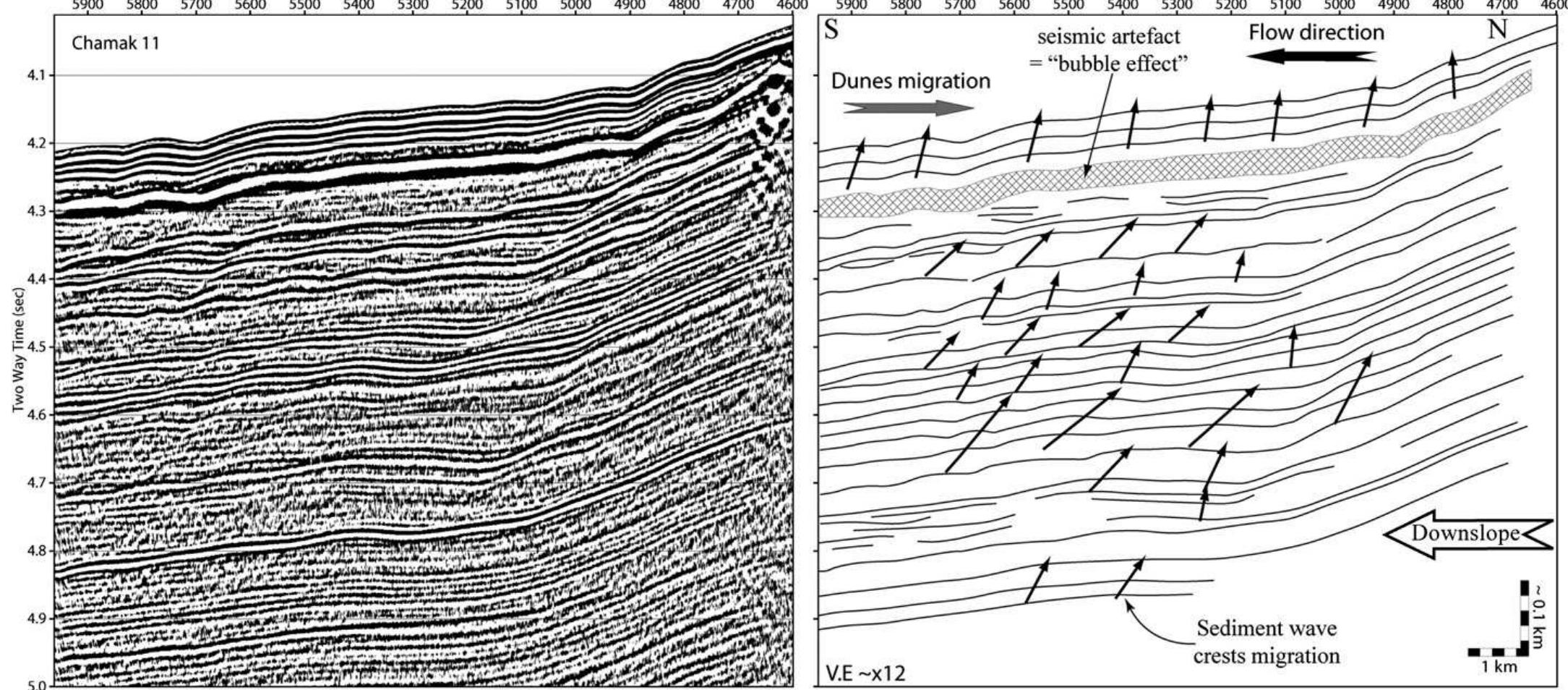 Multichannel seismic profile across sediment wave field in