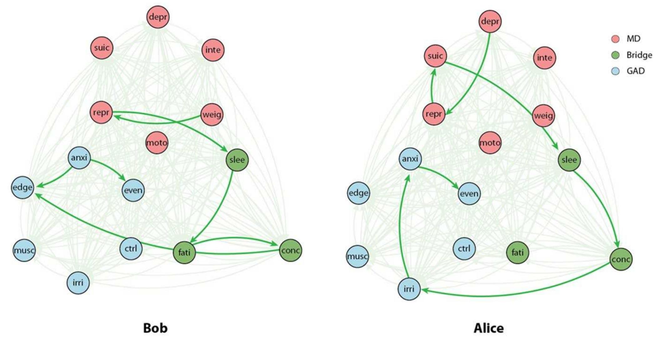 Hypothetical examples of individual complex networks for two