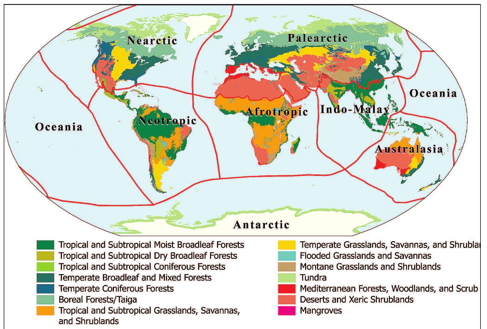 (PDF) Terrestrial Ecoregions of the World: A New Map of Life on Earth