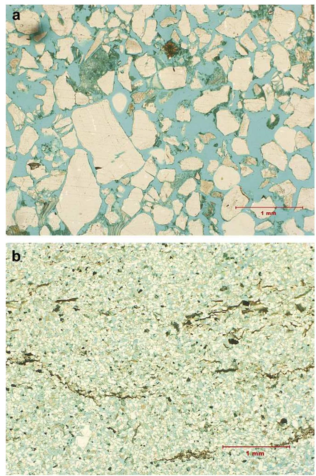 Photomicrograph of two sandstone samples displaying the